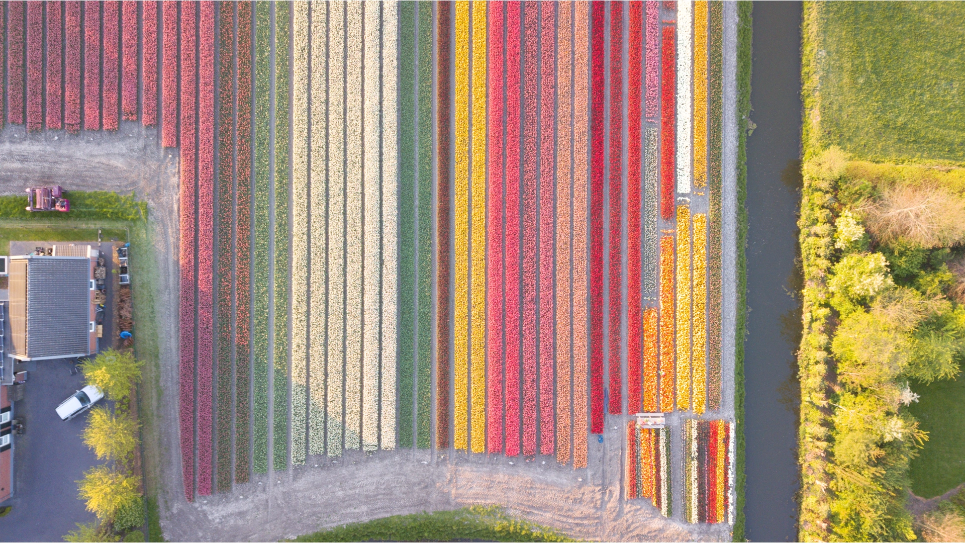 Tulip routes in the Netherlands for self-driving