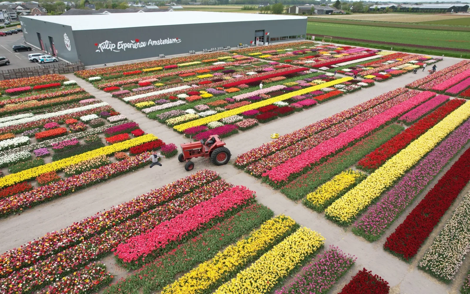 Tulip Experience Amsterdam 2026