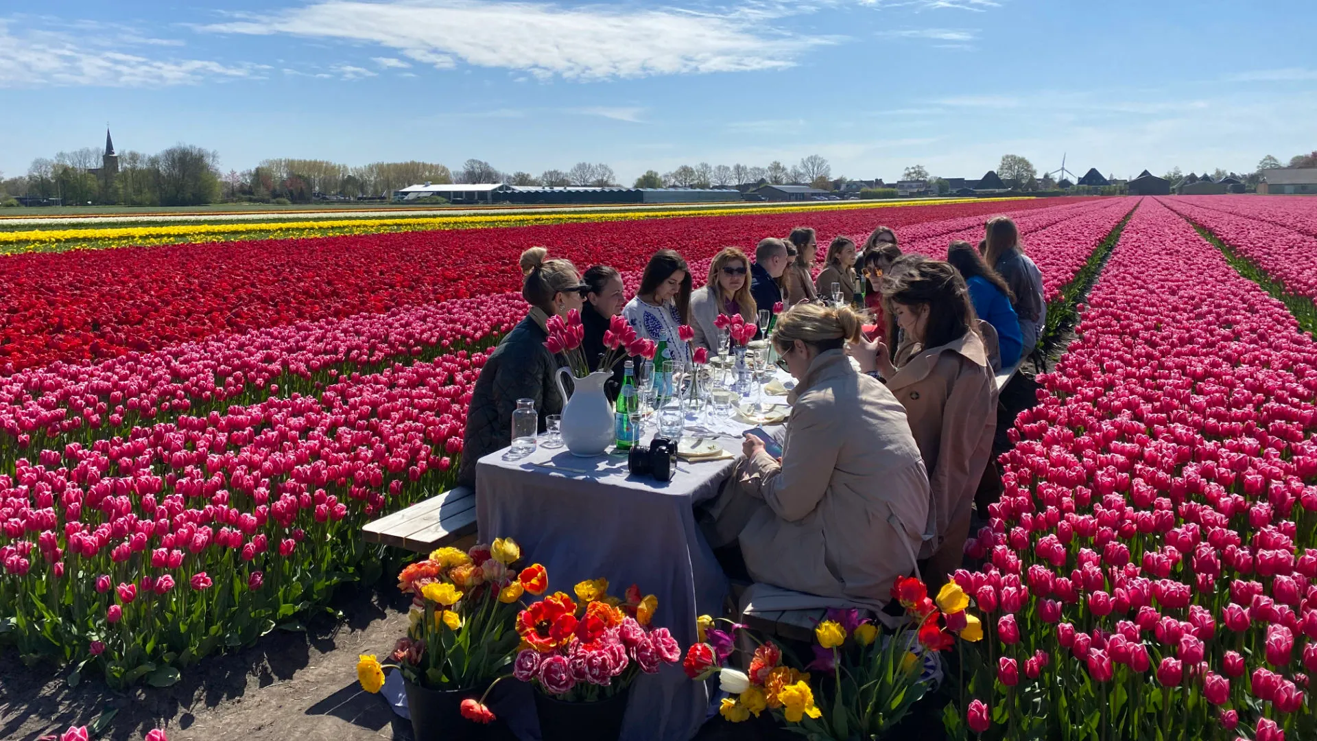 Tulip Field Near Me – All Tulip Fields in the Netherlands (2026)
