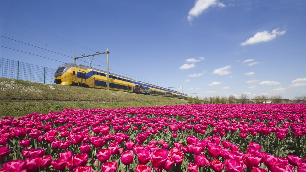 Volendam from Amsterdam by Public transport