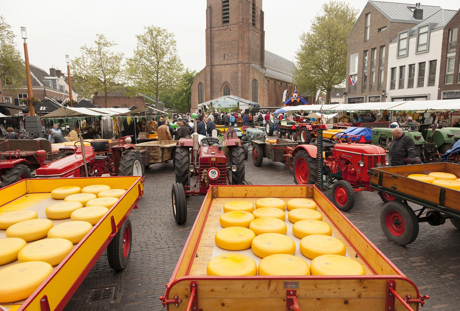 Vist the Edam Cheese Market in the Netherlands