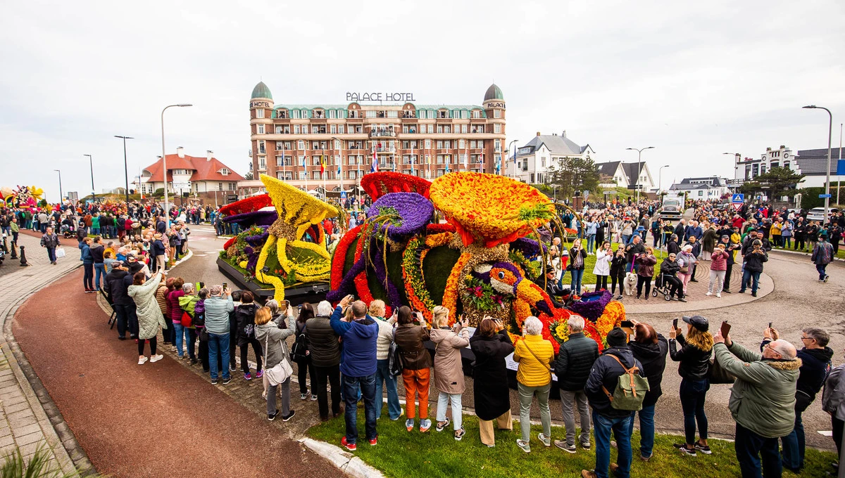 Flower Parade 2026: A Visitor's Guide to the Bloemencorso from ...